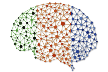 NeuroCon2021 – jNWG